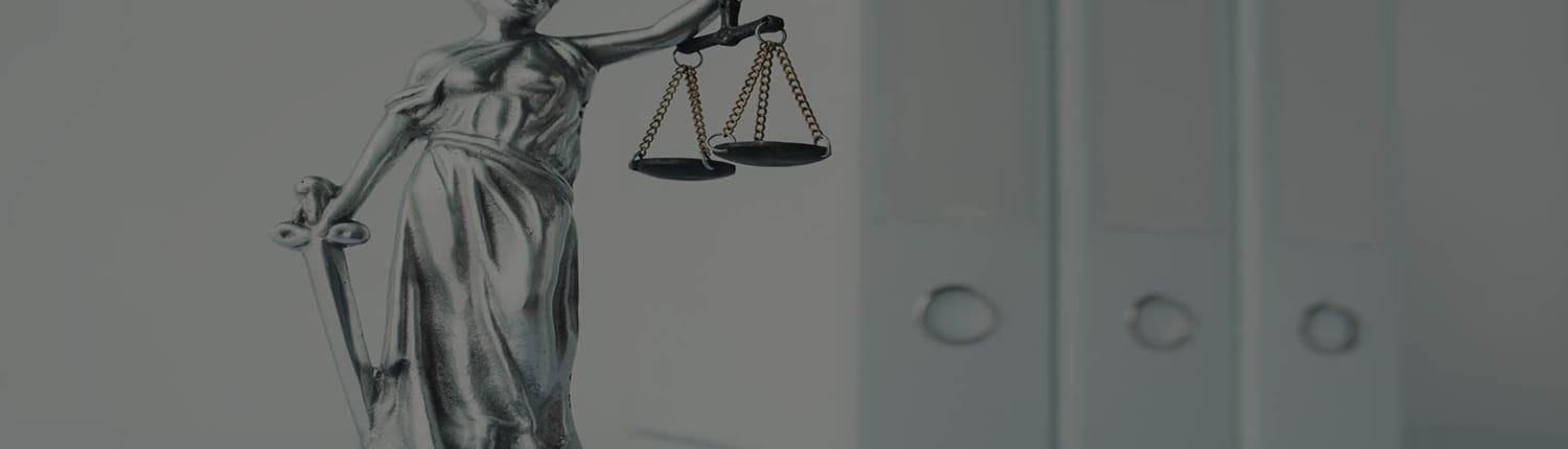 Case Results | Michael M. Raheb